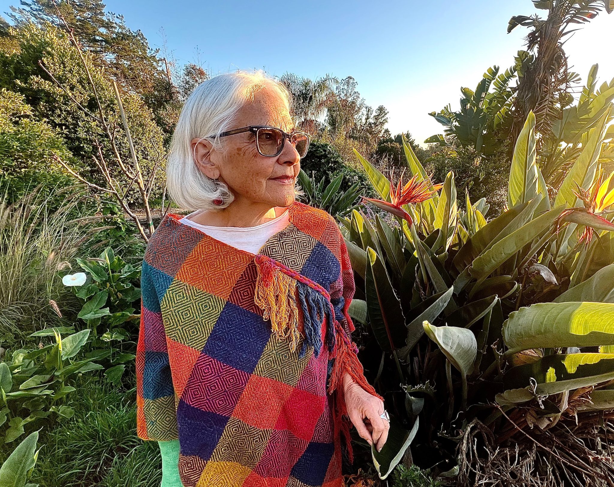 Sixty years later, a writer returns to her childhood home in Mexico and ...